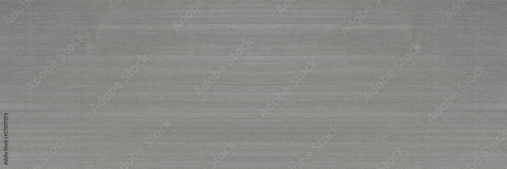 Texture of silver wood. Texture of koto wood with a silvery white tint ...
