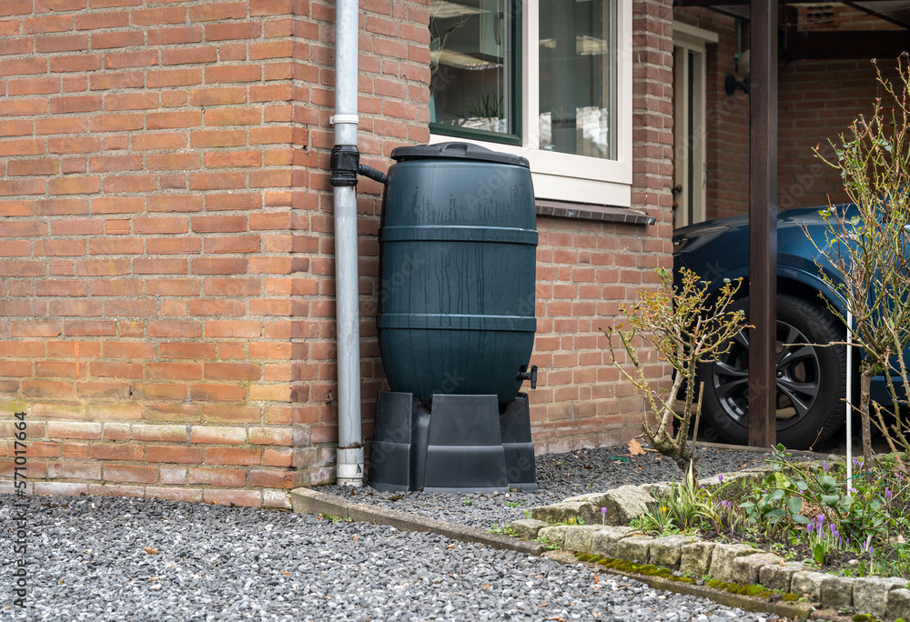 Rain barrel in front of a modern house, rainwater tank to collect ...