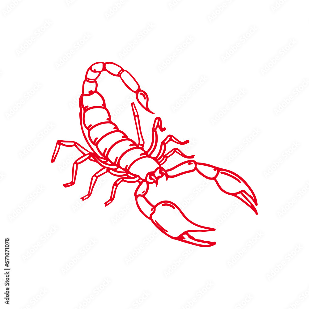 vector illustration of a red scorpion Stock Vector | Adobe Stock