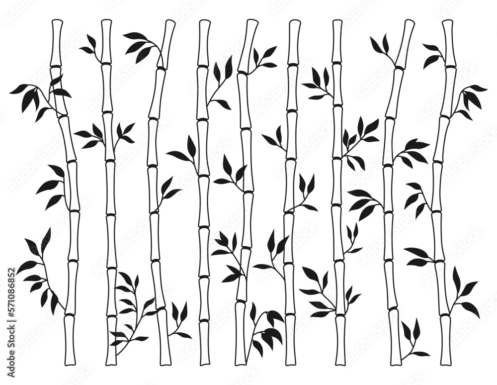 Bamboo stem and leaf outline borders set. Exotic decoration elements ...