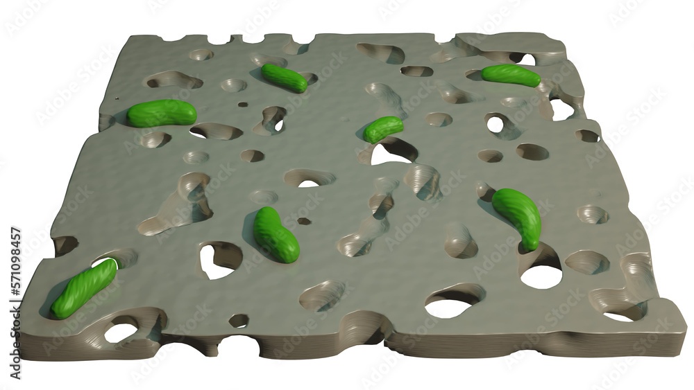 How Bacteriaeating Bacteria Could Help Win The War