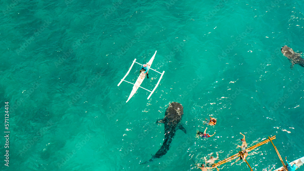Place to snorkel and scuba drive and whale shark watching, top view ...
