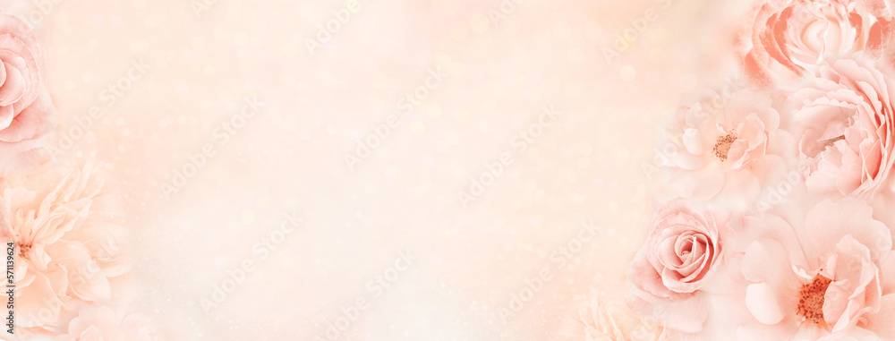 Pretty Pink Flowers Headers | Best Flower Site