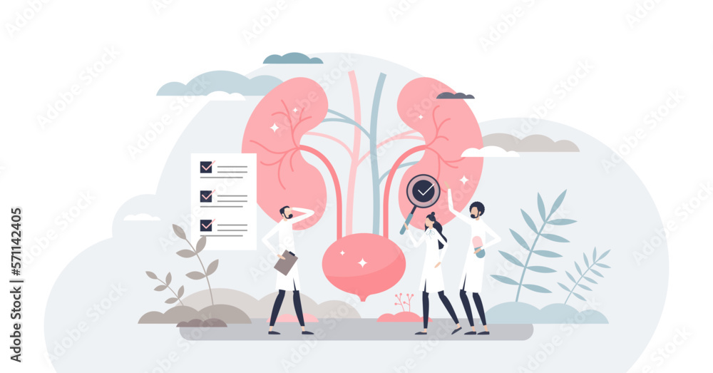 Vettoriale Stock Nephrologist as kidney and bladder professional doctor ...