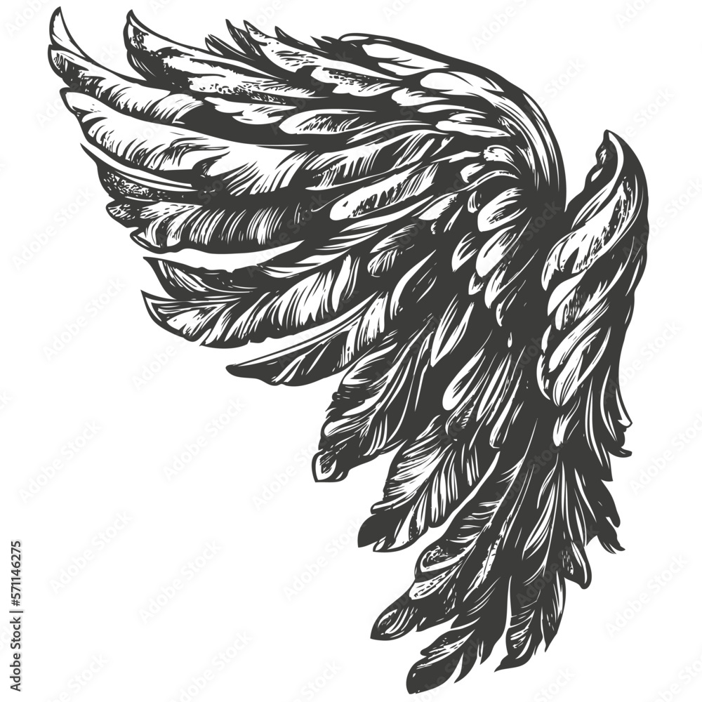 Angel wings, bird wings collection cartoon hand drawn vector ...