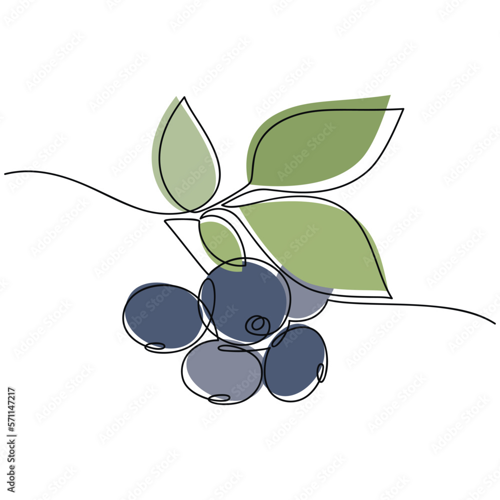 Vector line continuous blueberry branch with leaves. Hand drawn outline ...