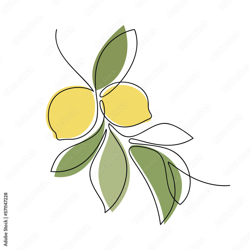 Lemon branch with leaves vector. One line continuous hand drawn ...