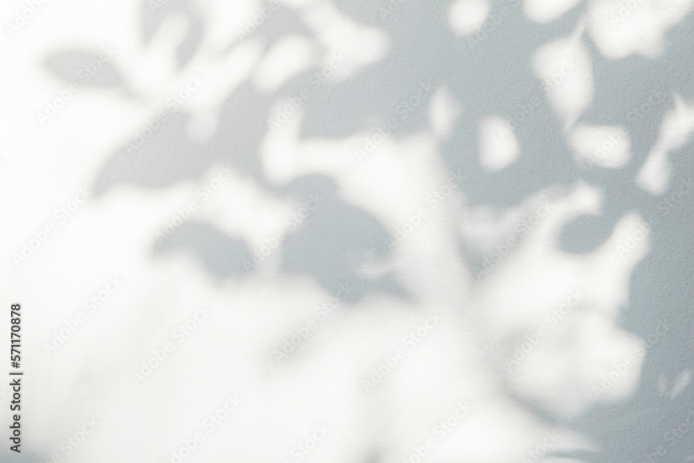 Leaf shadow and light on wall pink background. Nature tropical leaves ...