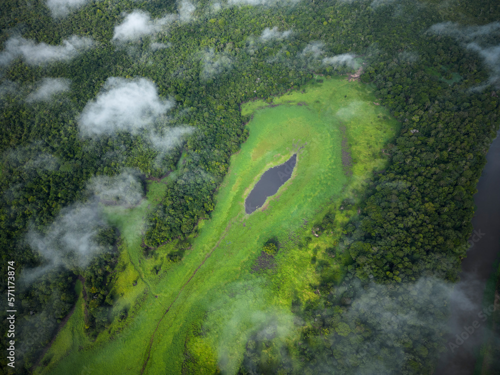 Beautiful top down drone view to large river and green rainforest Stock ...