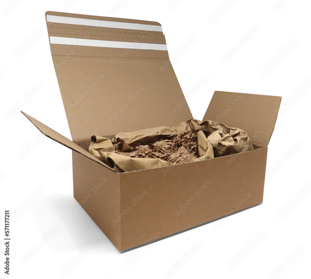 Carton with recycled void fill made from paper to reduce plastics ...