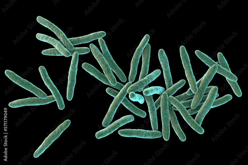 Mycobacterium ulcerans, the causative agent of Buruli ulcer, 3D ...