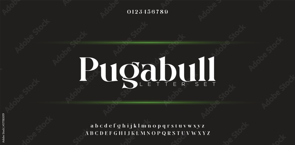 PUGABULL Luxury letter fonts and alphabet set. Modern tech typeface ...