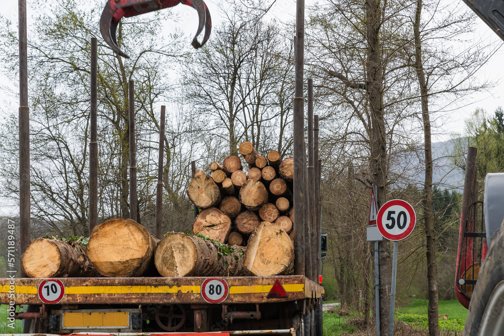 Deforestation and stacking logs on a truck with a tractor equipped with ...