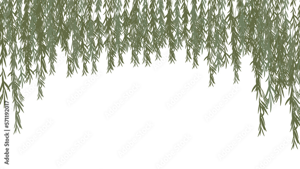 creeper plants on PNG transparent background, Vector stock Stock ...