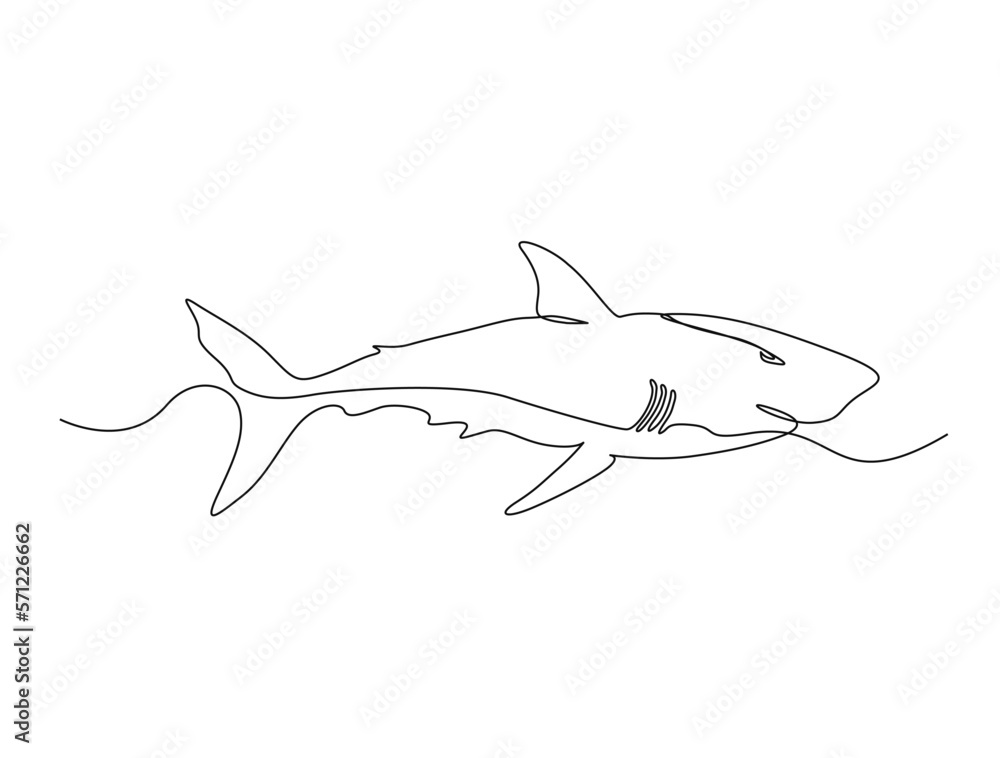 Continuous one line drawing of shark fish. Simple illustration of ...