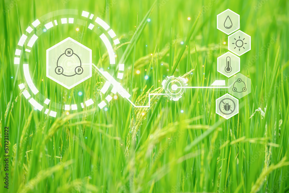 Smart farm digital icon and futuristic AI data infographic of Landscape ...