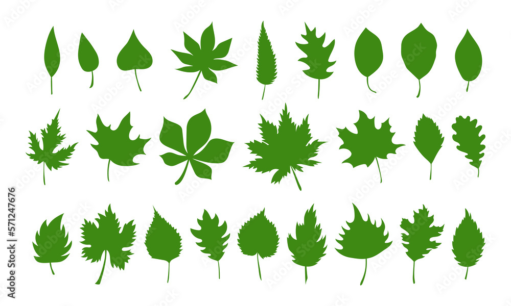 Big set of vector spring leaves, herbal element. Collection of simple ...