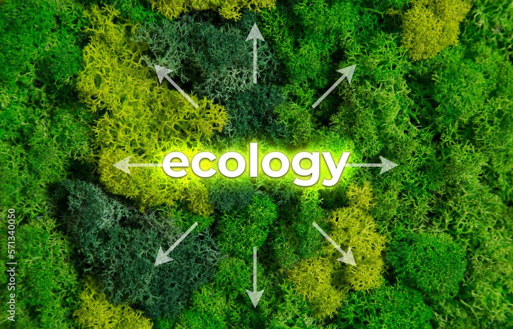 Green plant and text as a symbol of protection of nature. Ecology and ...