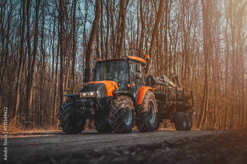 Forwarder tractor for wood transport. Tractor with trailer loaded with ...