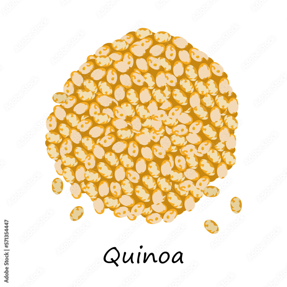 Quinoa vector illustration in flat style. Quinoa vegan protein food ...