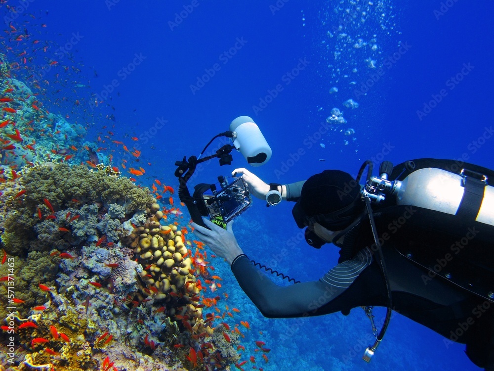 Scuba diver photographer and coral reef with fish. Diver swimming and ...