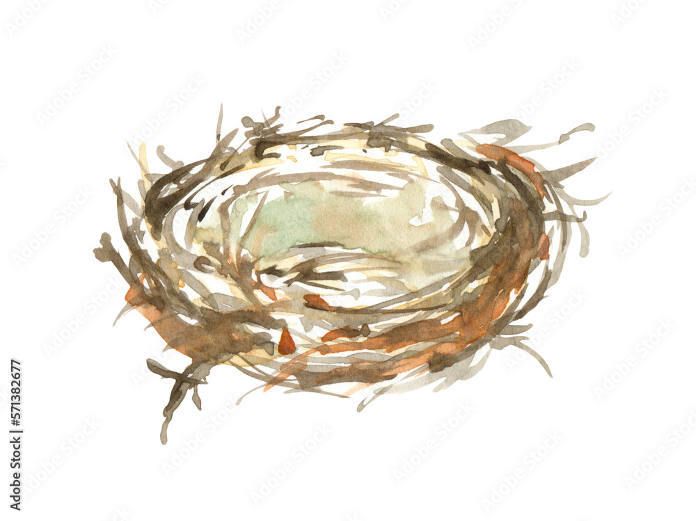 Watercolor spring bird nest illustration, Easter clipart. Create Easter ...