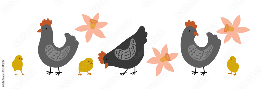 Cute baby chickens, hens and daffodils. Simple clear minimalist style ...
