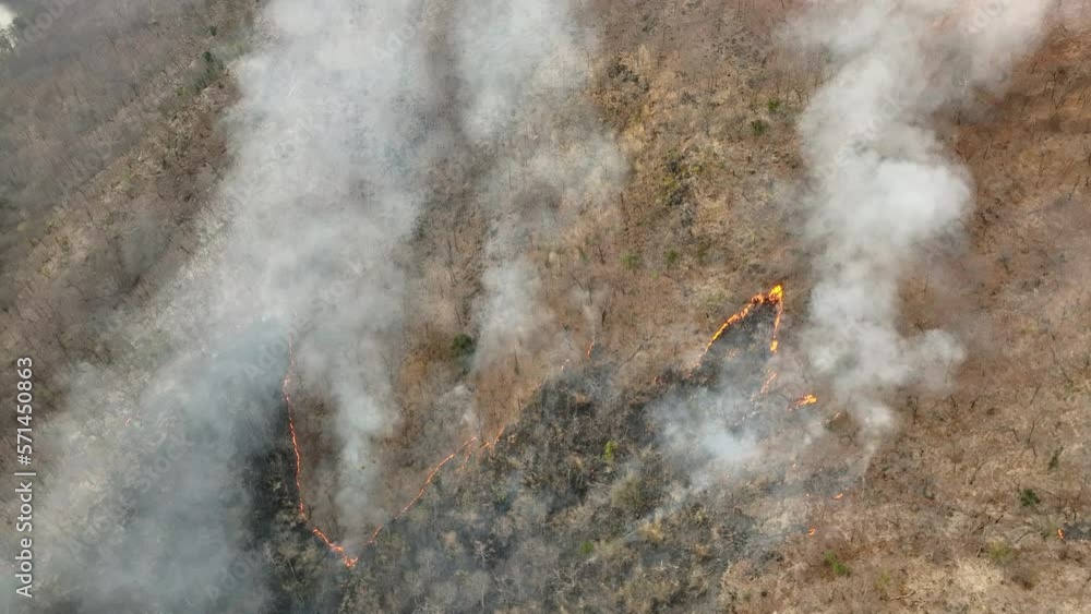 Climate Change , Wildfire disaster in tropical forest caused by human ...