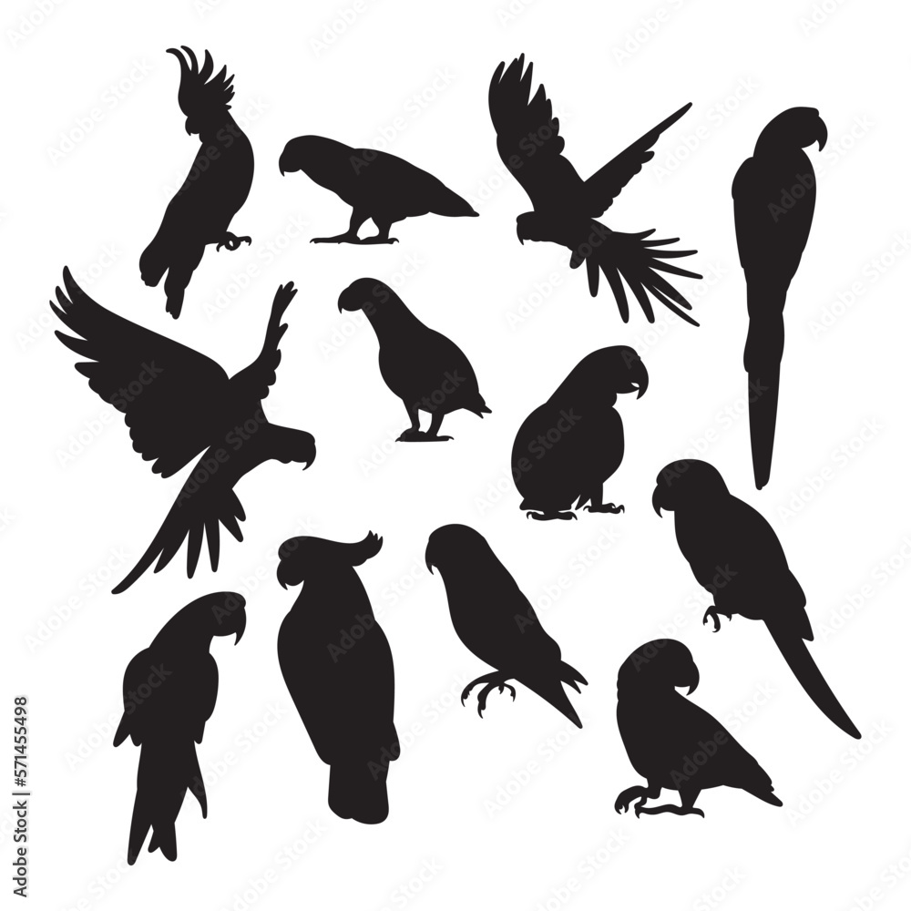 Parrot birds silhouette set for cutting, stencil templates Stock Vector ...