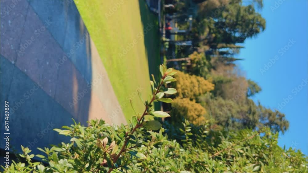 SOCHI, RUSSIA - January 2023: The territory of the park in the city of ...