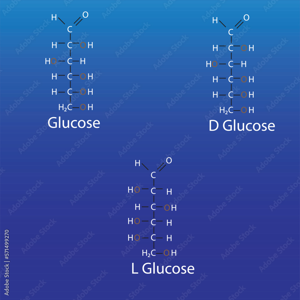 All Structures of glucose linear forms bio molecule Stock Vector ...