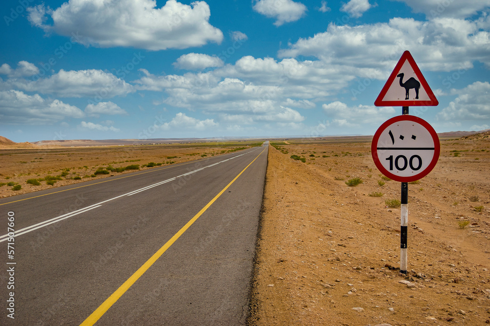 Camel and speed limit road sign along a desert road in Oman Stock Photo ...