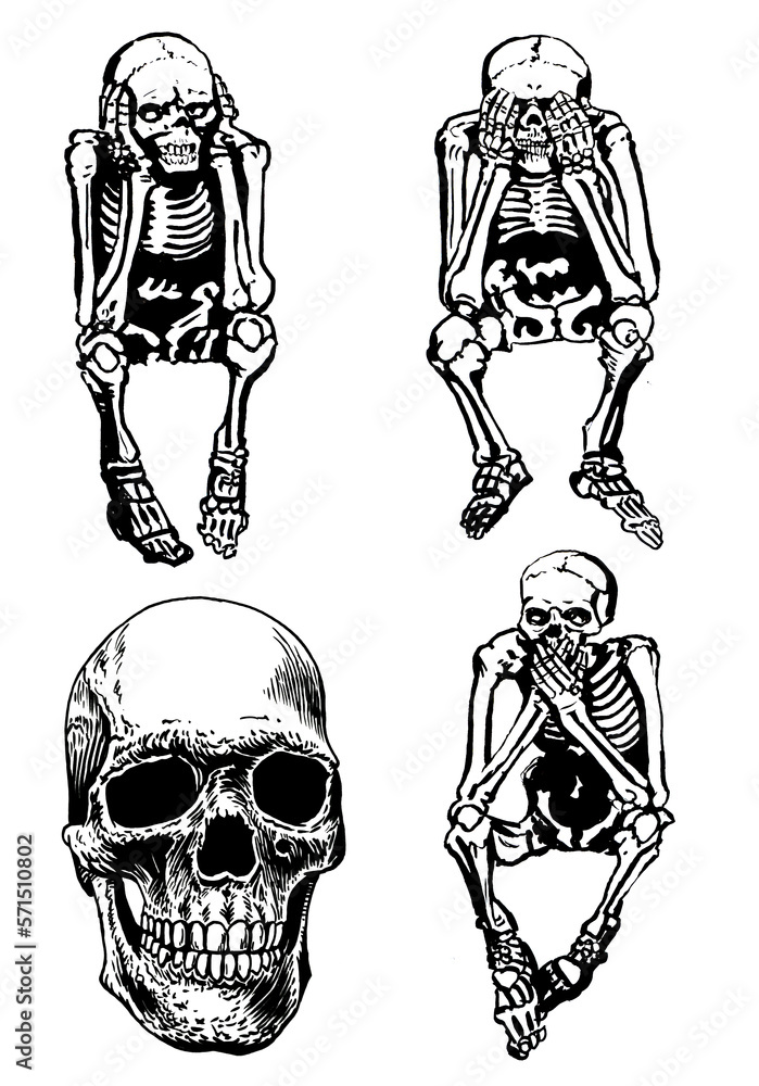 Graphical set of skeletons and human skulls isolated on white,jpg ...