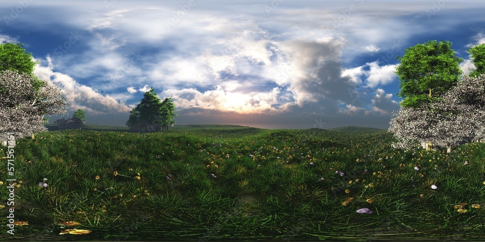Spring meadow with flowers,, HDRI, environment map , Round panorama ...