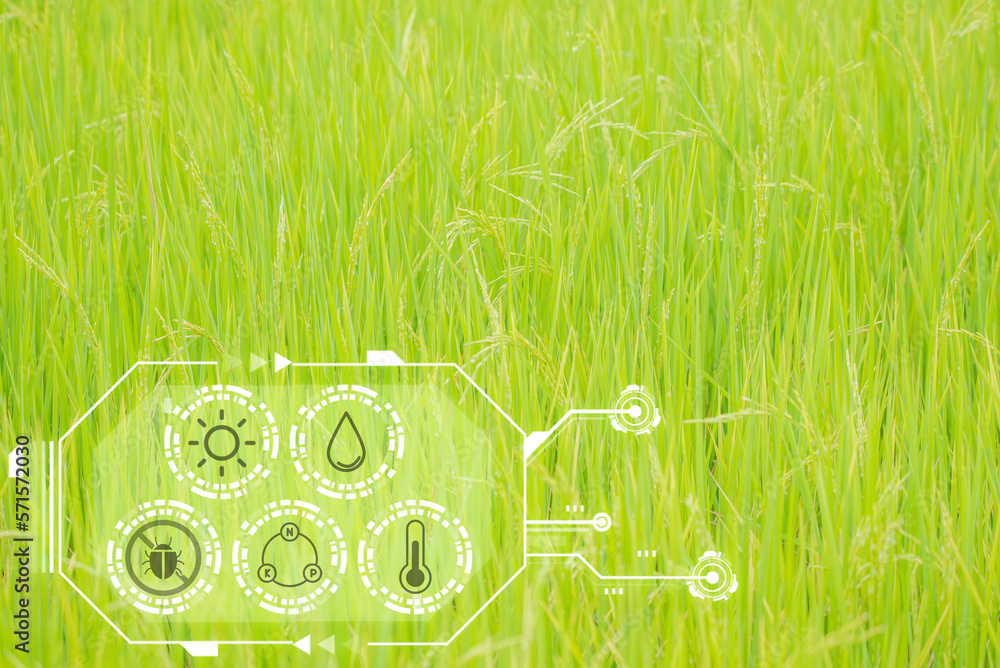 Smart farm digital icon and futuristic AI data infographic of Landscape ...