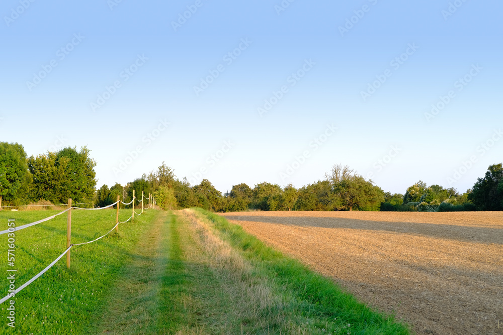 beautiful spring, summer village landscape, arable land, young plants ...