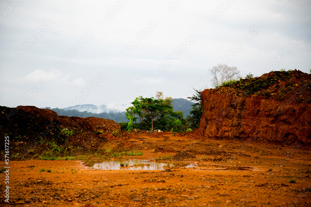 Red-yellow lateritic soils of tropical Africa. Geological structure of ...