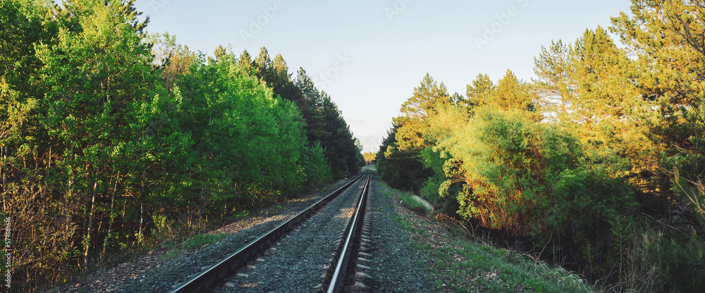 Scenery with railway in perspective across forest. Journey on rail ...