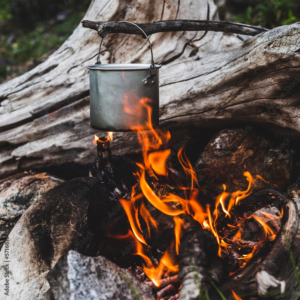 Bonfire Wood Fire Cooking
