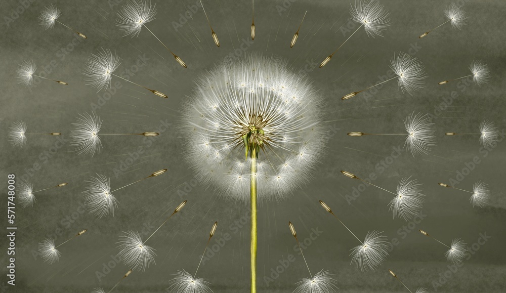 3d Dandelion Seed