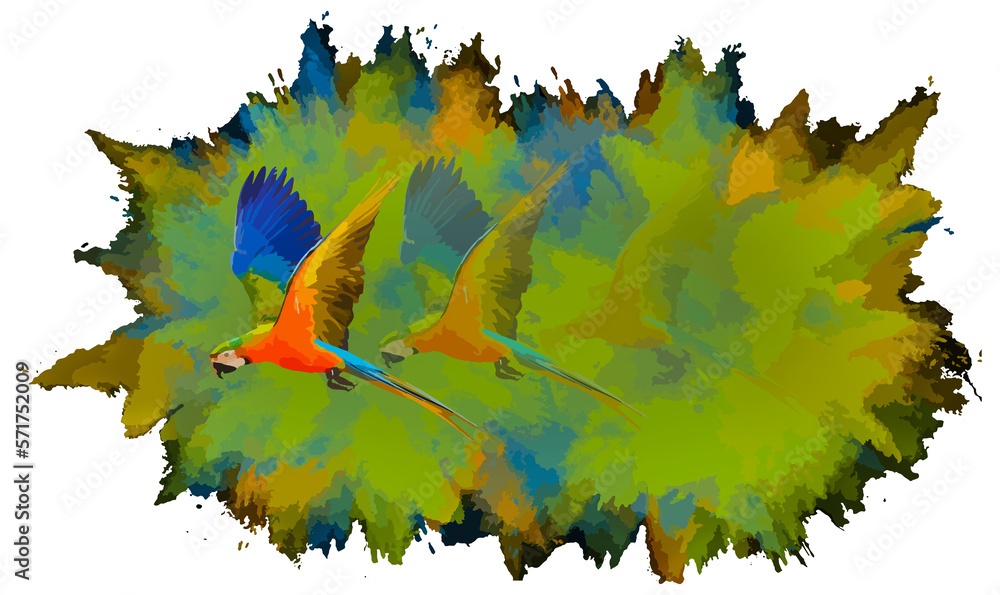 Colorful powder explosion with Macaw parrot flying isolated on ...