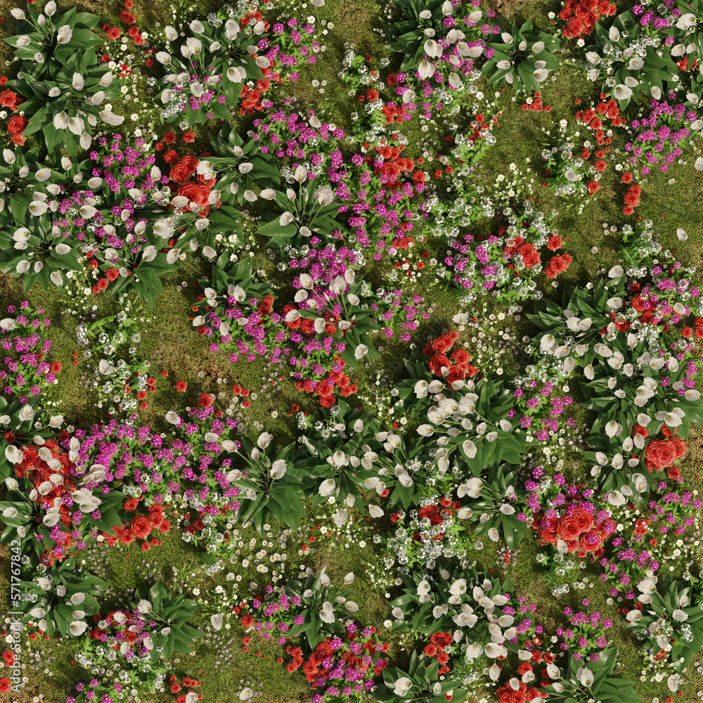 Ground Cover Plants Texture