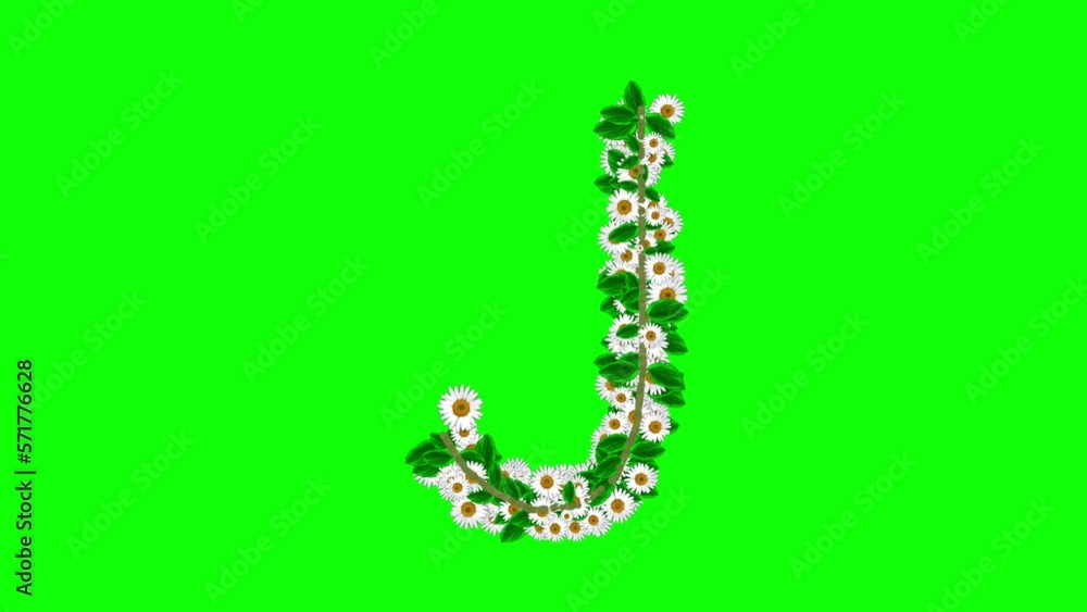 English alphabet J with daisy flowers on green screen background Stock ...