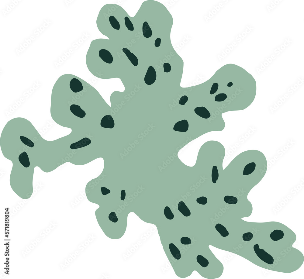 Lichen or moss isolated PNG element. Forest woodland fungus. Cute hand ...