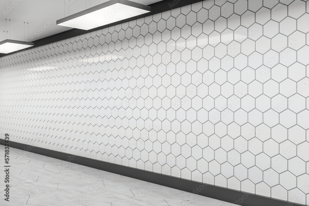 Perspective view on blank white wall background with honeycomb print ...