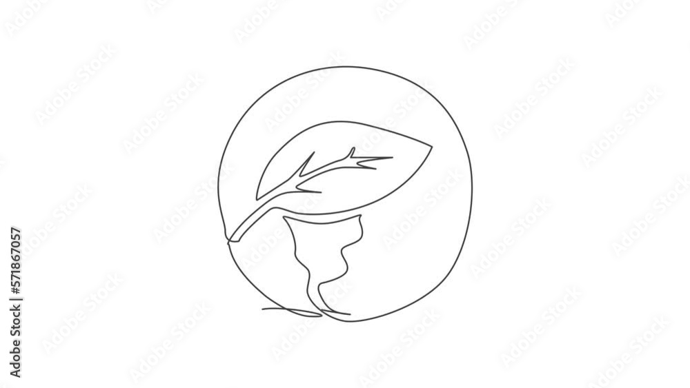 Self drawing animation of single line draw green leaf on globe earth ...