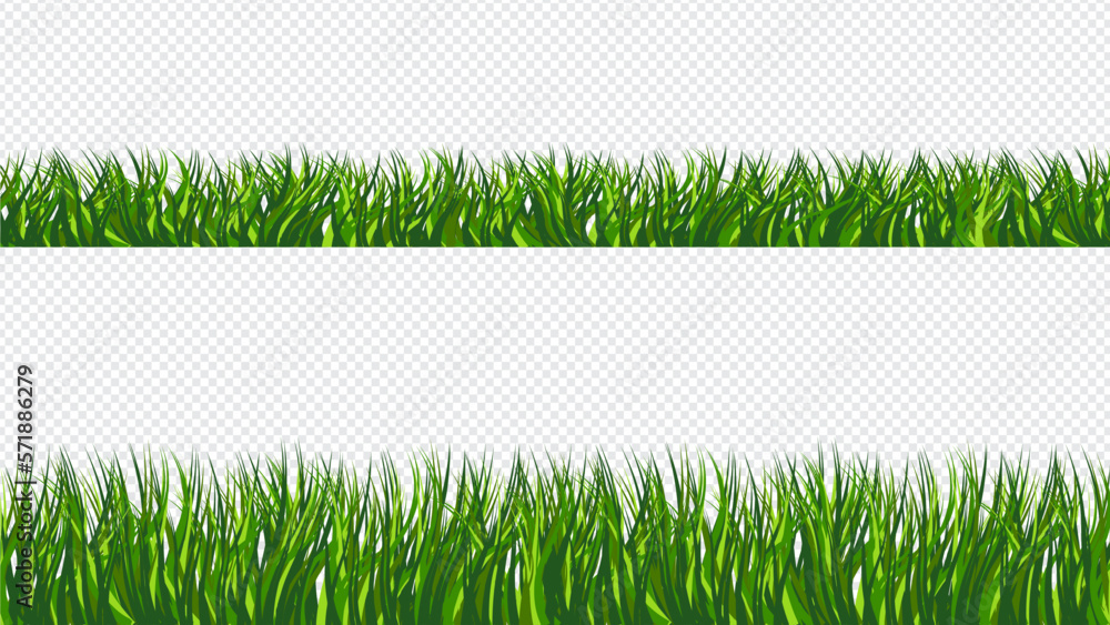 Realistic green grass border design isolated on transparent background ...