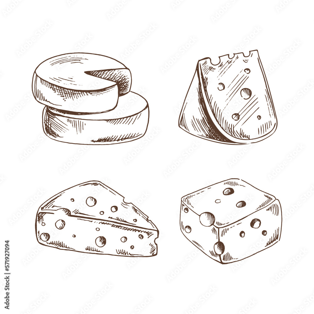 Hand Drawn Dairy Products Sketch Set Various Types Of Cheese Cheese