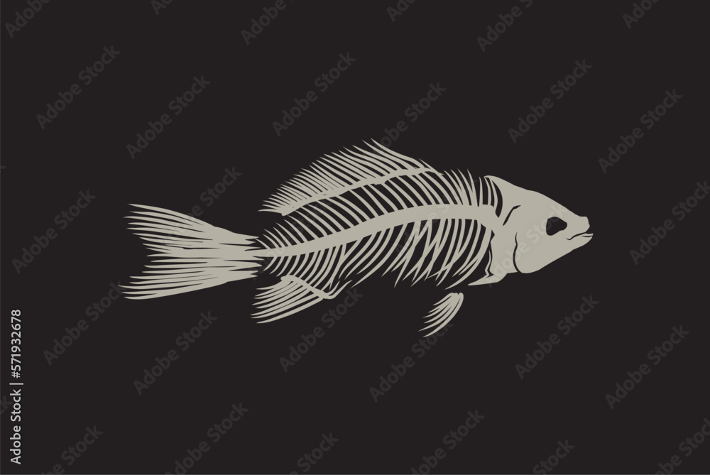 fishbone vector illustrations, fossil of the ancient fish Stock Vector ...