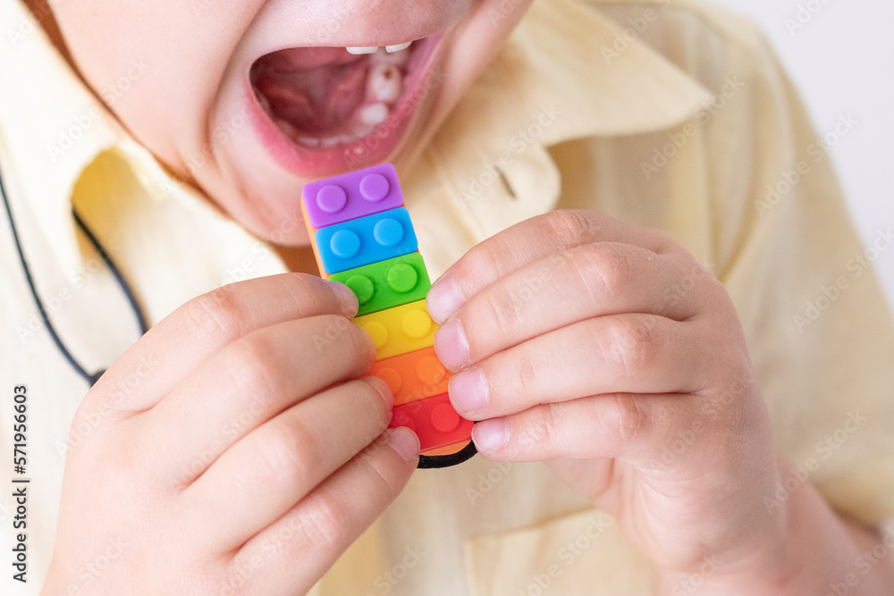 Boy holding a chewing toy Stock Photo | Adobe Stock
